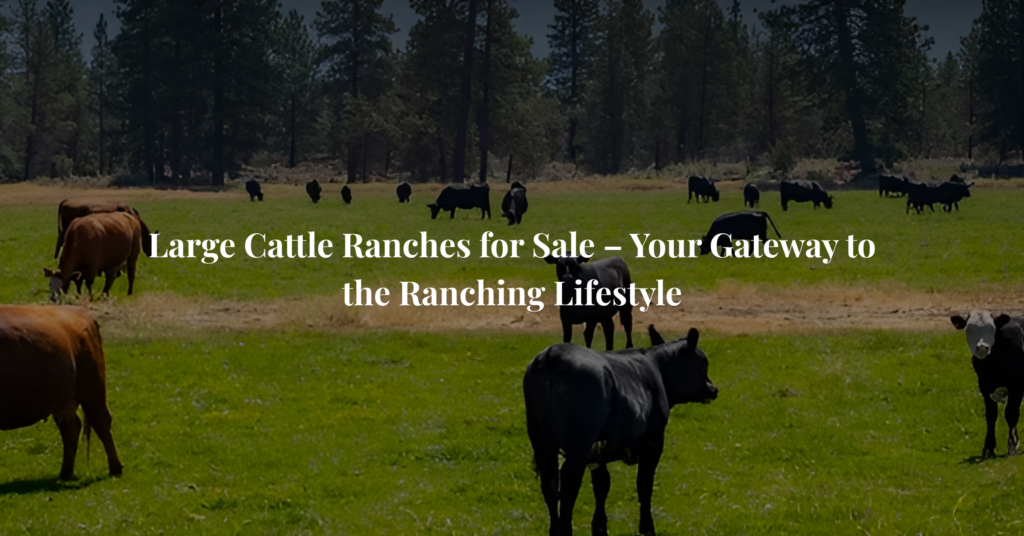 Large Cattle Ranches for Sale