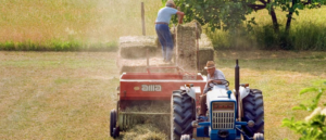 How to Start a Farm: A Step-By-Step Guide for the Beginners