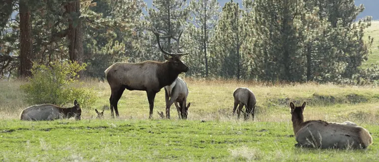 10 Most Expensive Ranches for Sale in America