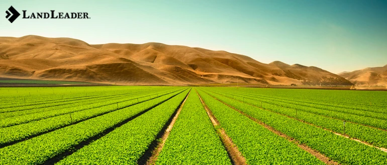 USA Farm Land for Sale: Unlocking Agricultural Opportunities