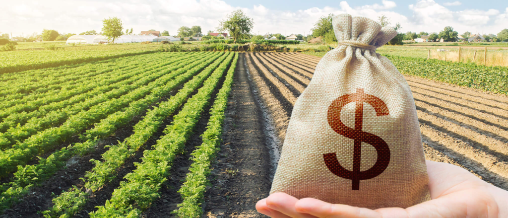 How Property Taxes Work – A Simple Owner’s Guide