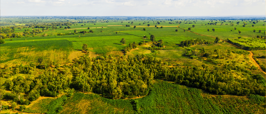 10 Important Questions to Ask When Buying Land (2024)