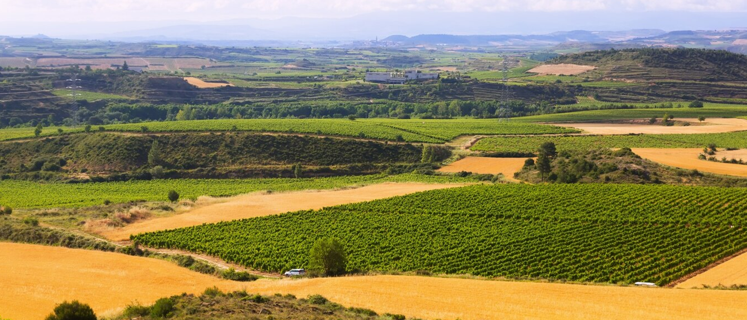 What It Takes to Succeed as a Land Real Estate Agent